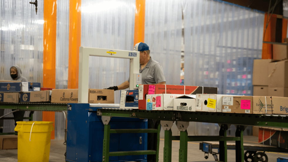 Premiere Midwestern Flower Distribution | Valley Floral