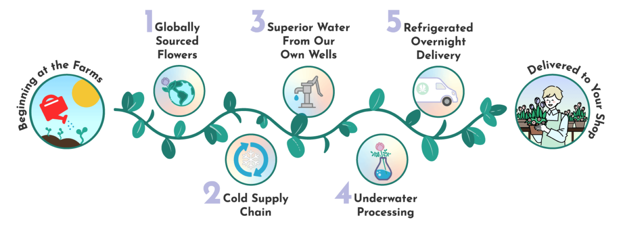A Better Supply Chain for Superior Flowers | Valley Floral