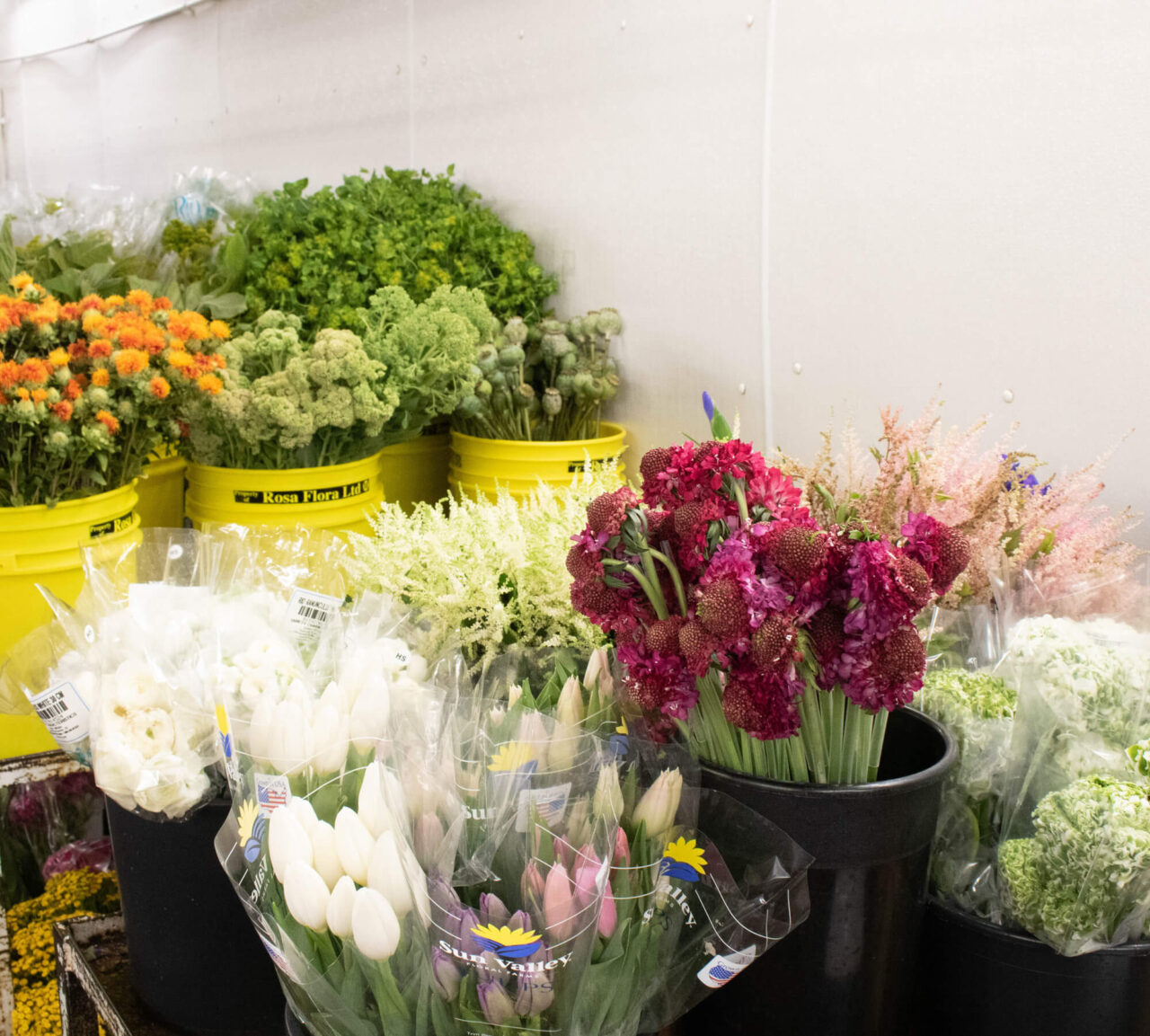 Premiere Midwestern Flower Distribution | Valley Floral